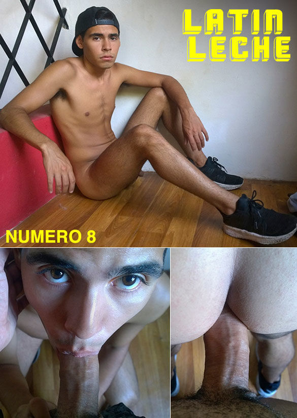 Latin Leche 1