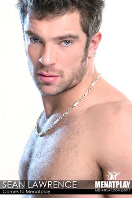 Sean Lawrence Collection