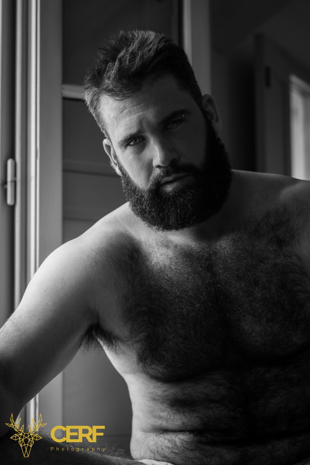 The Alpha Dad Onlyfans Collection