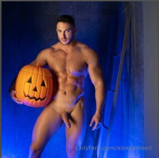 Alex Palmieri 2