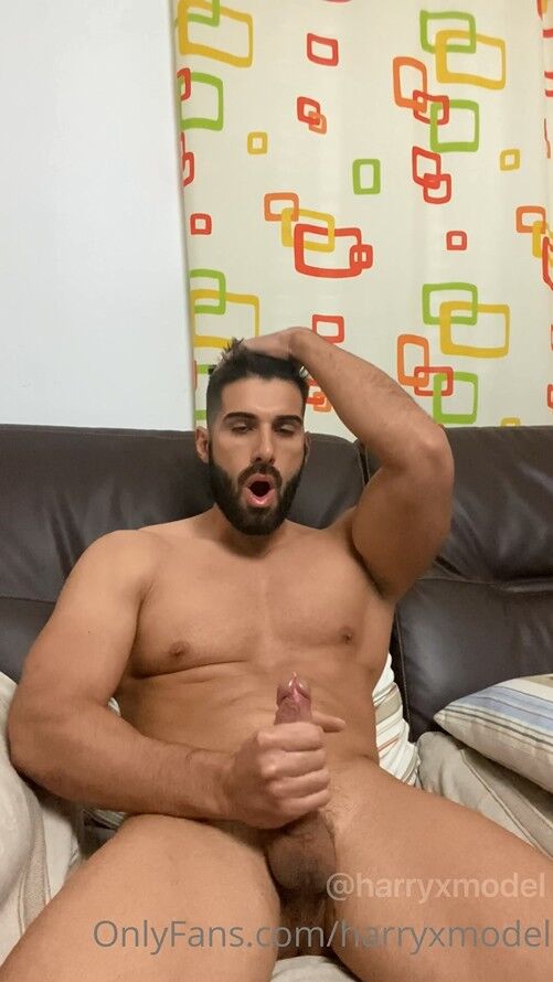 Harryxmodel