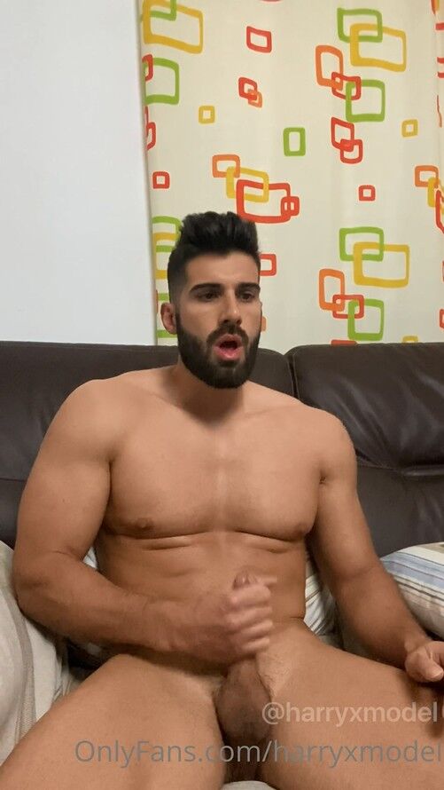 Harryxmodel