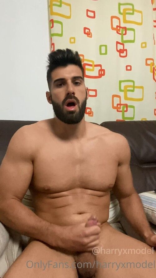 Harryxmodel