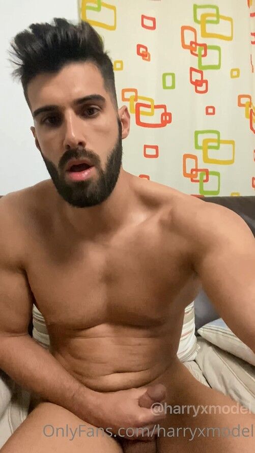 Harryxmodel